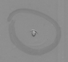 Solid State Batteries | Batteries | AMETEK Surface Vision